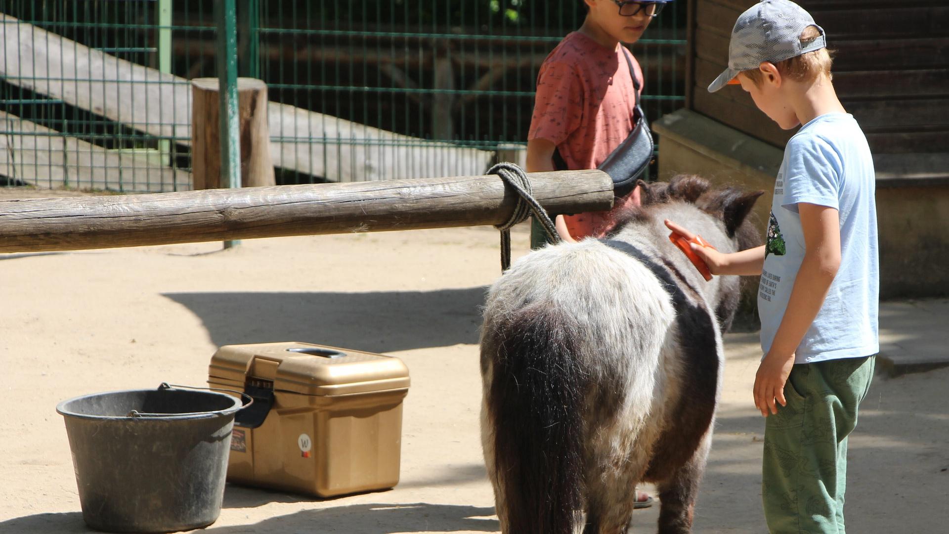 Tierpark - Stadt Gera