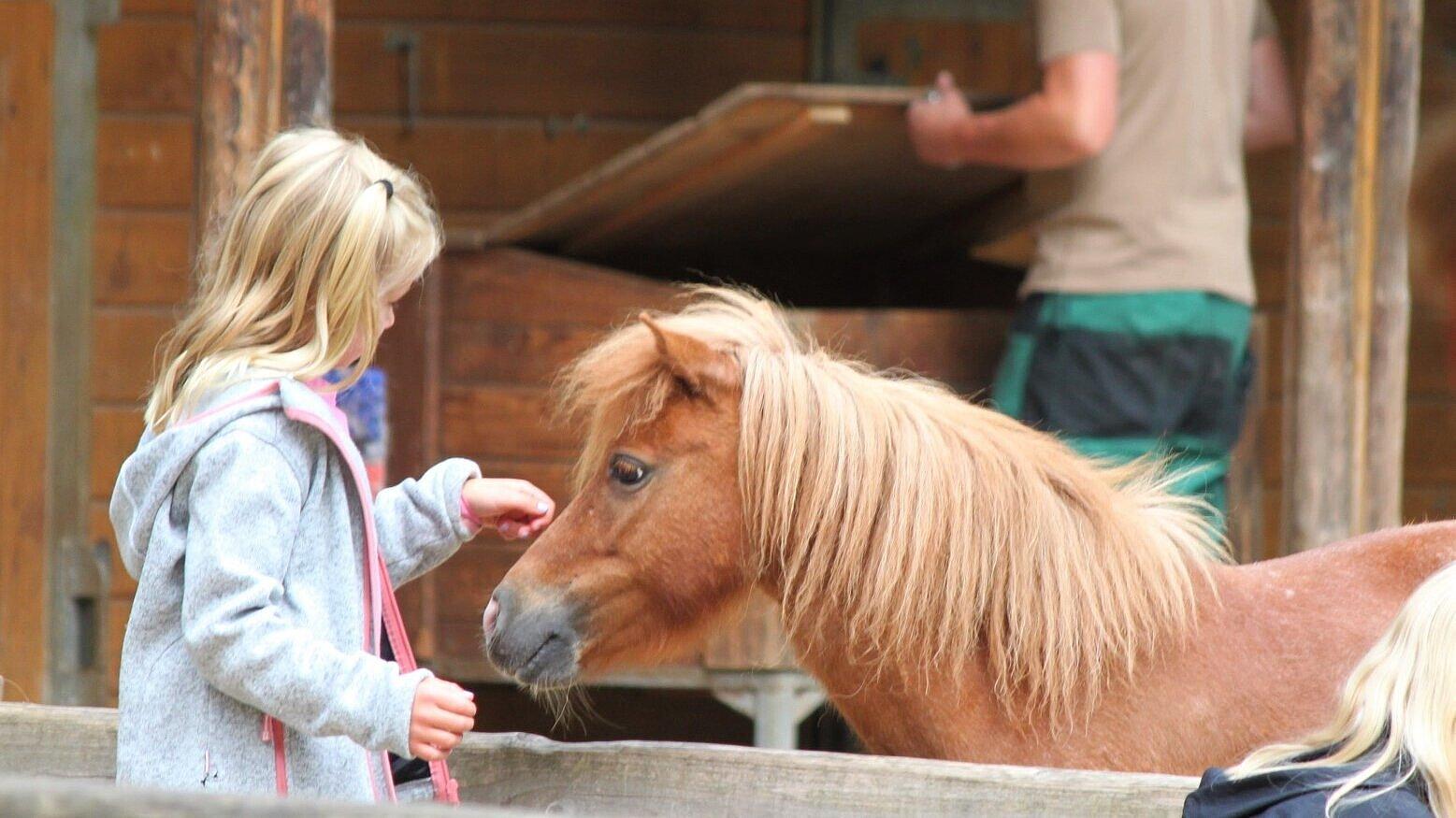 Tierpark - Stadt Gera