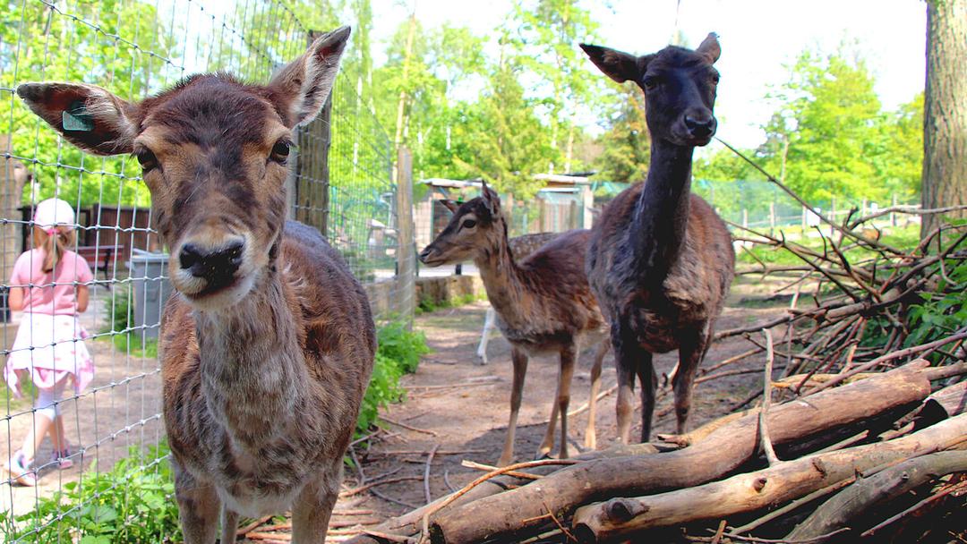 Tierpark Gera - Stadt Gera