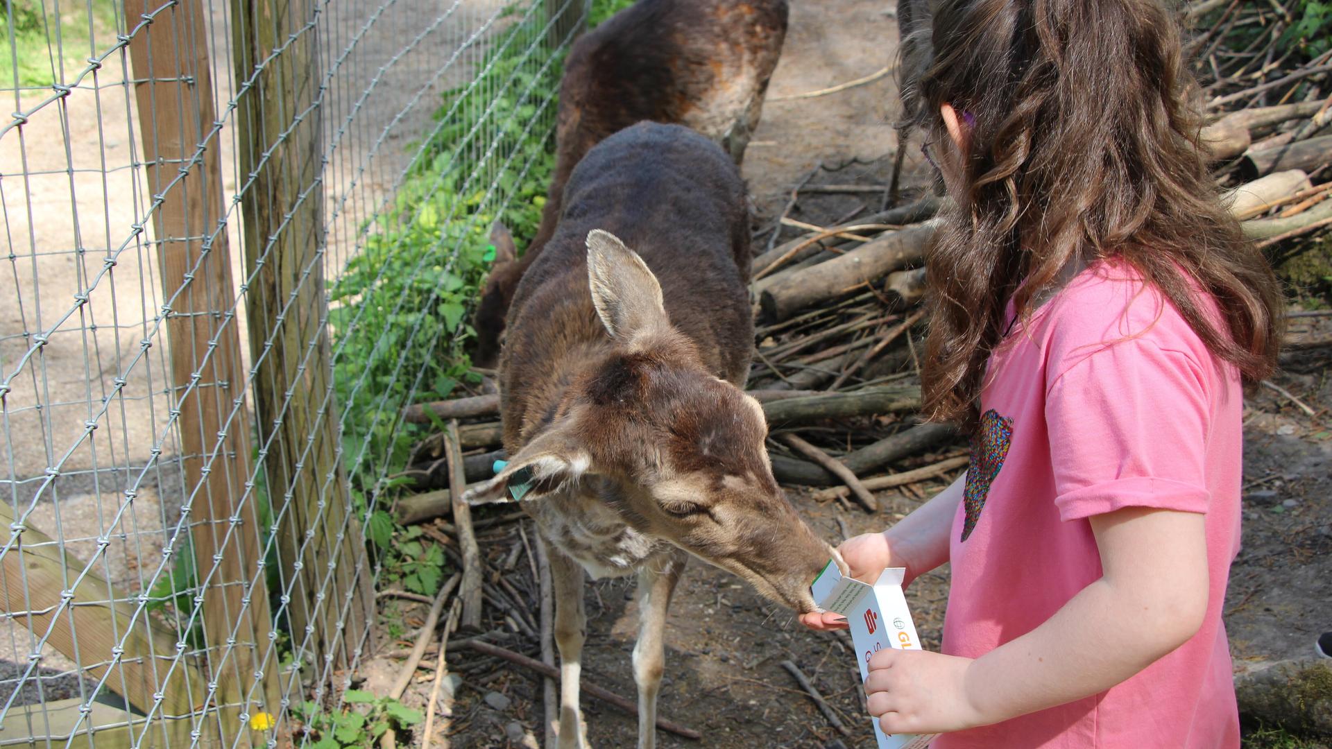 Tierpark - Stadt Gera